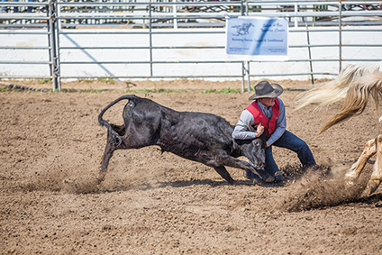 Fresno State Bulldoggers host competition at Clovis Rodeo Grounds ...