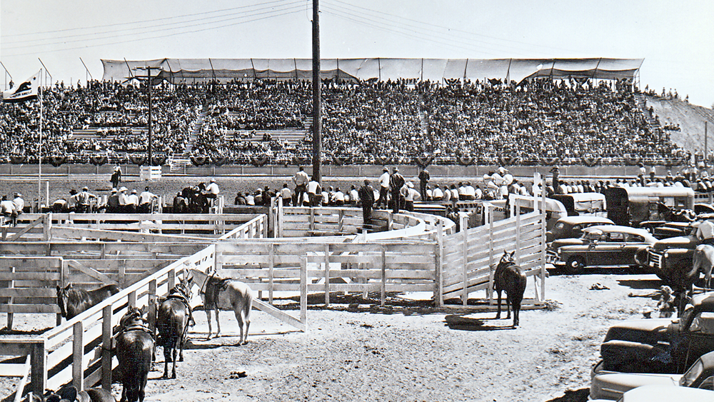 Let’s Talk Clovis: It’s time to Rodeo | Clovis Roundup