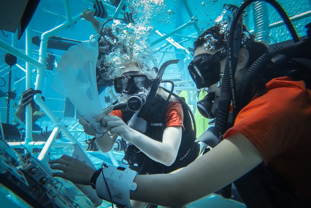 Clovis students dive into space | Clovis Roundup