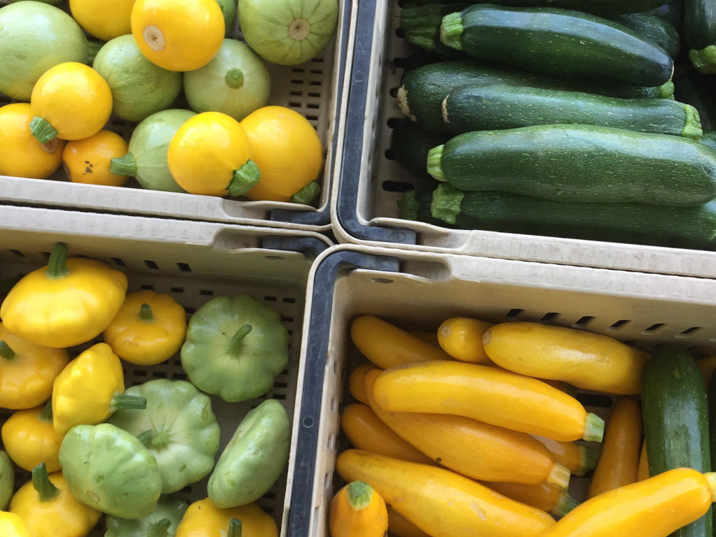 Friday Night Farmers Market makes seasonal return | Clovis Roundup