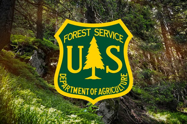 USDA Forest Service Hiring 2020 Temporary Positions for National ...