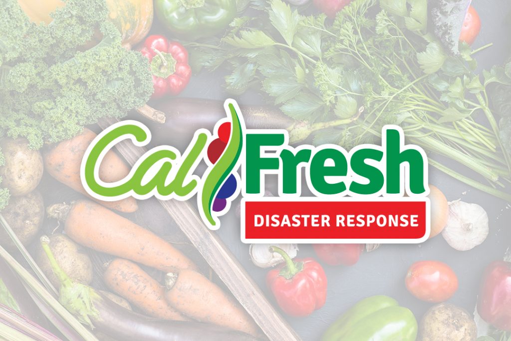 Disaster CalFresh Program to Help Creek Fire Victims | Clovis Roundup