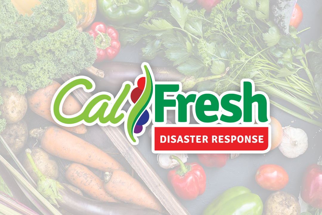 Disaster CalFresh Program to Help Creek Fire Victims | Clovis Roundup
