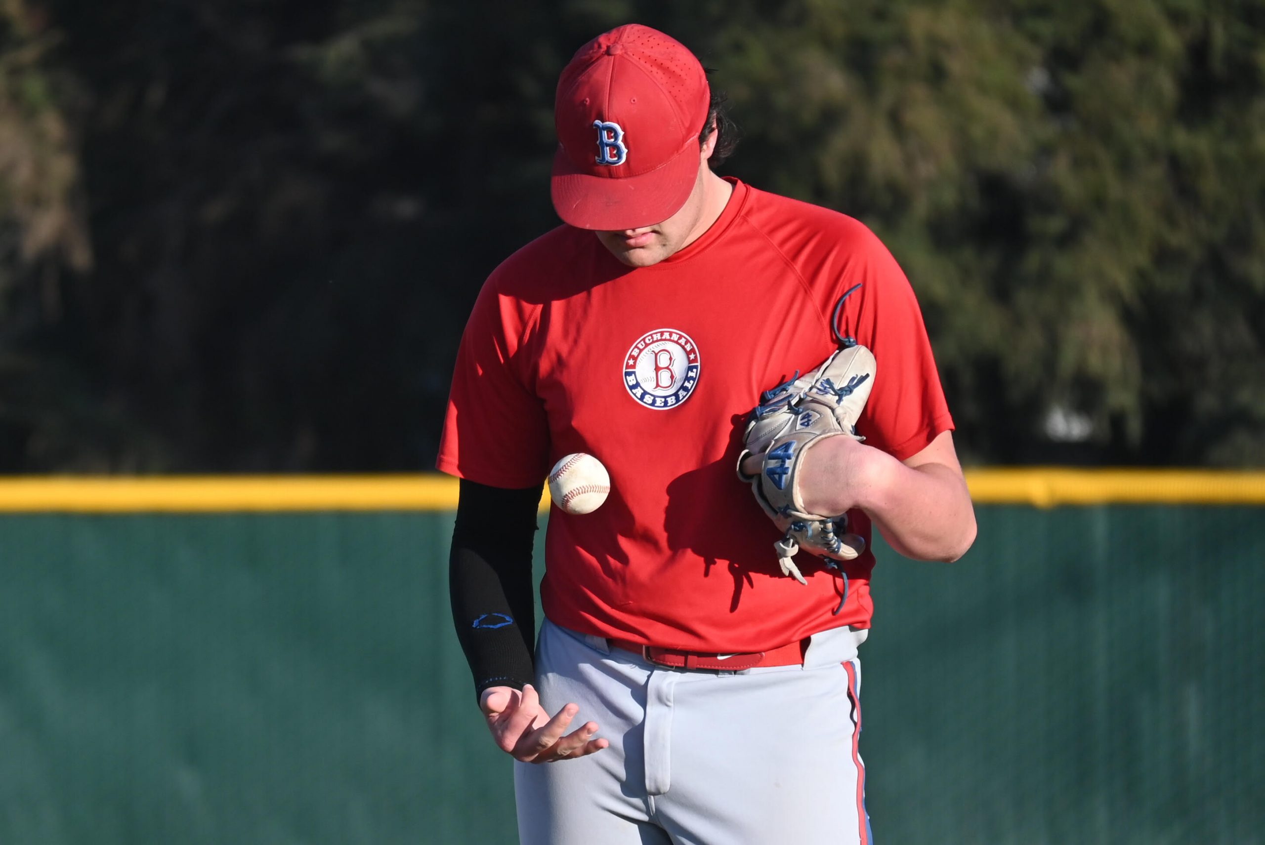 Buchanan Baseball Primed for Central Section Title Defense in 2022 ...