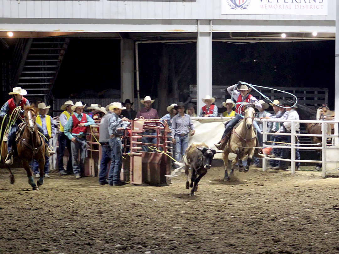 Clovis Happenings: March 4 – 10 | Clovis Roundup