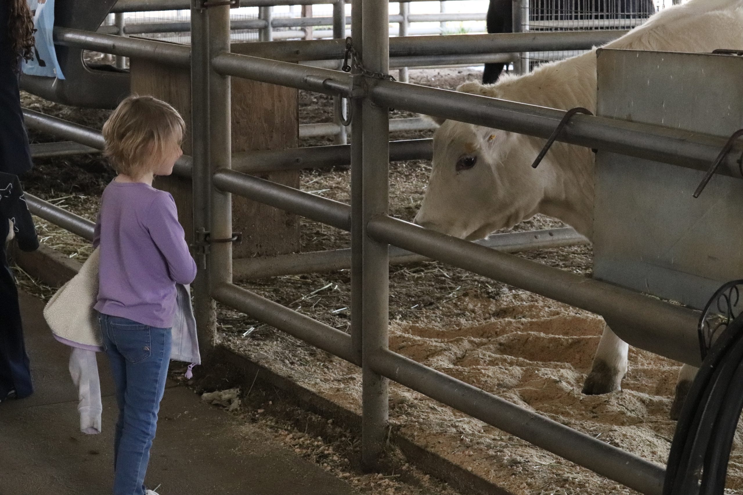 CUSD Elementary Schools Visit Clovis East Farm | Clovis Roundup